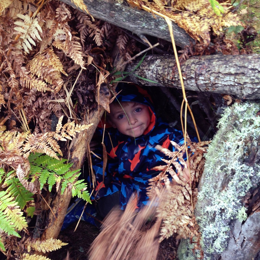 Family Foraging and Wilderness Skills Workshop – Prairie Shore ...